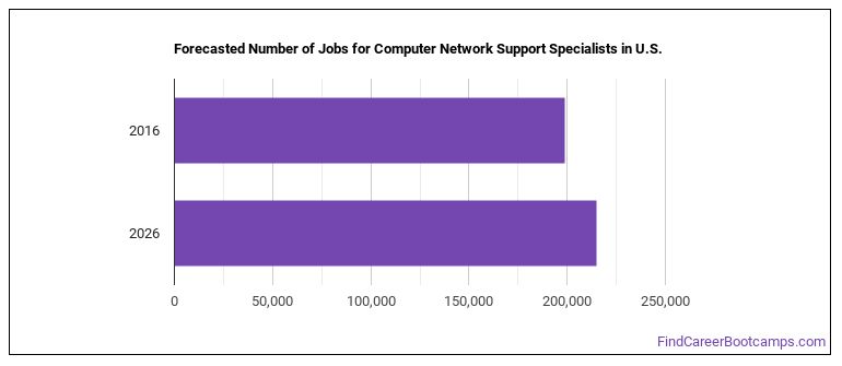 How to Become a Computer Network Support Specialist & What Do They Do ...