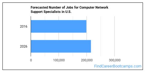 How to Become a Computer Network Support Specialist & What Do They Do ...